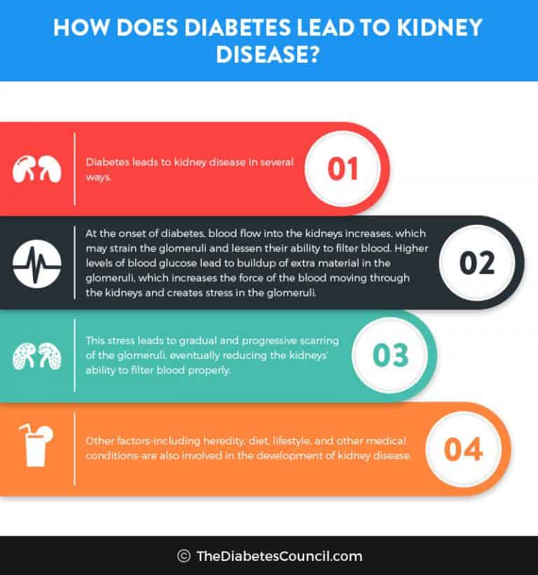 Diabetes And Renal Failure: Everything You Need To Know