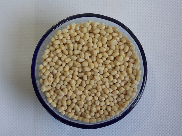 Urad Dal And Diabetes TheDiabetesCouncil